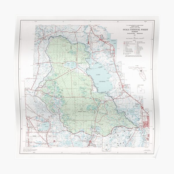 "Ocala National Forest Map (1971) Florida Woodland Reserve Atlas ...