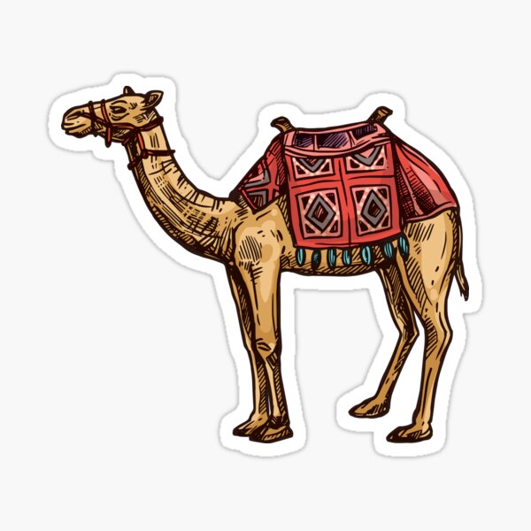 "Egyptian camel " Sticker for Sale by Emil1993 | Redbubble