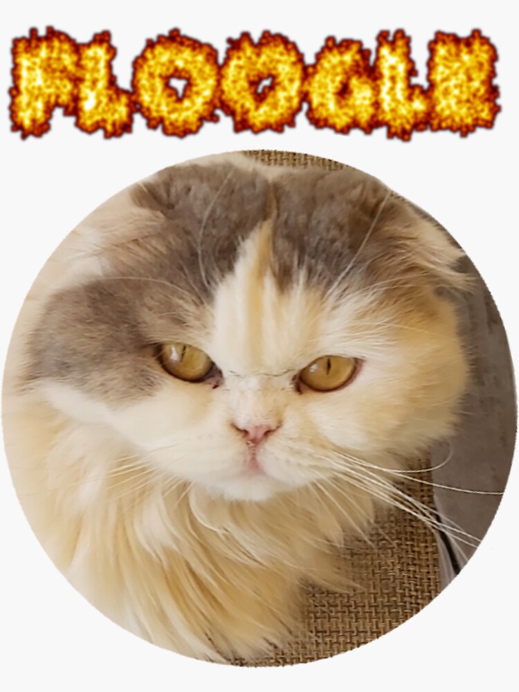 "floogle " Sticker by ayadotnet | Redbubble