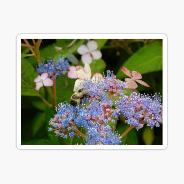 "Sleepy Bumble" Sticker for Sale by Izayo-Darke1 | Redbubble