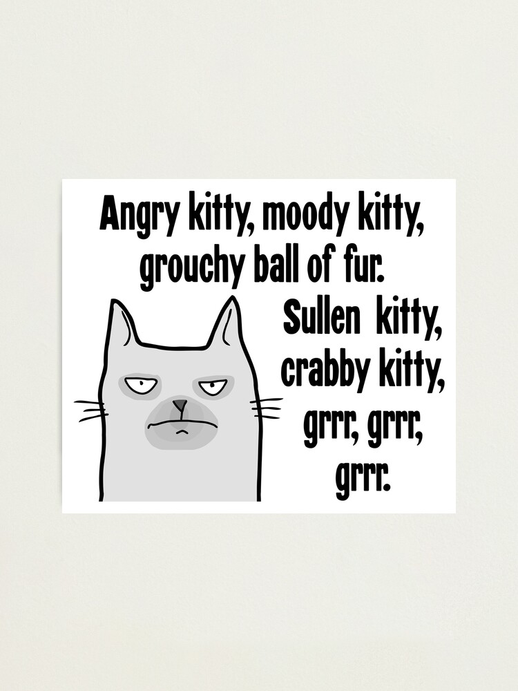 "Angry Kitty, Moody Kitty, Grouchy Ball of Fur. Sullen Kitty, Crabby ...
