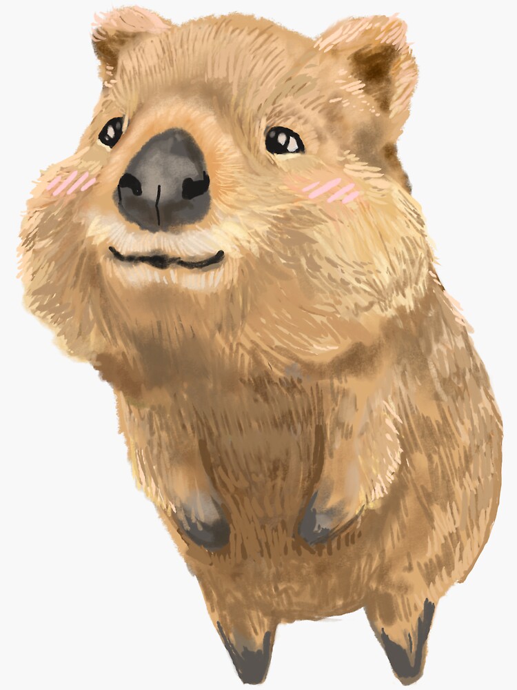 "Happy Like A Quokka" Sticker for Sale by HankMG22 | Redbubble