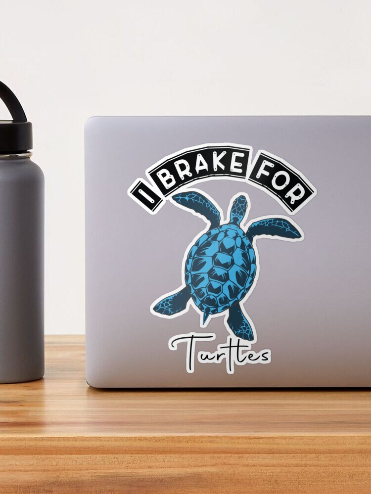 Stainless Steel Turtle Hydro Flask TURTLE Stainless Steel Vacuum Flask ...
