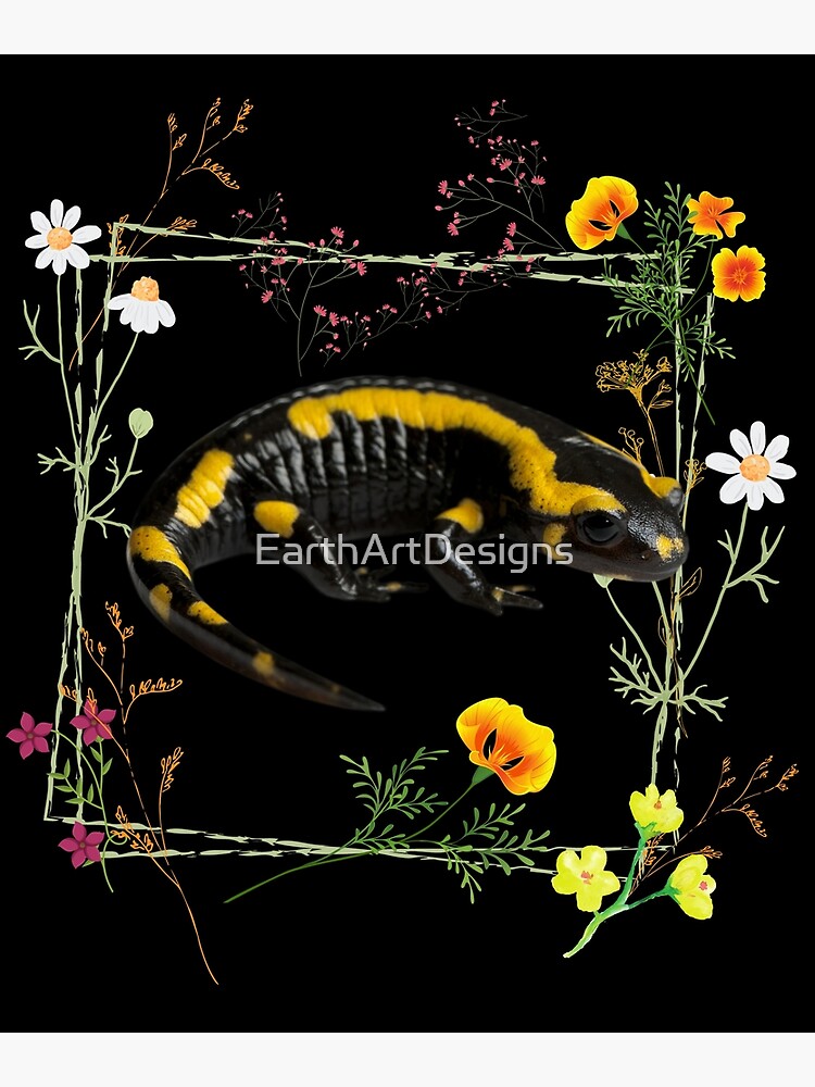 "Orange & Black Salamander In Flower Frame Design" Poster for Sale by ...