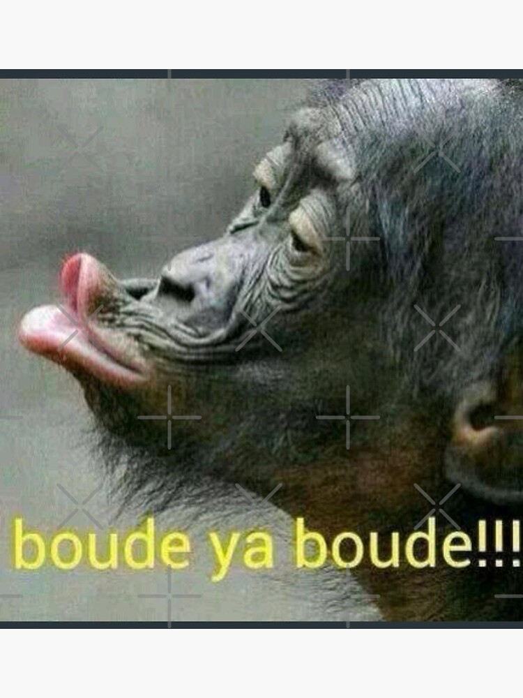 "Boude ya Boude! Meme" Sticker for Sale by SuperFlyyyy | Redbubble