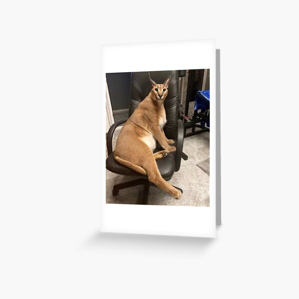 "Big Floppa in a Chair" Greeting Card for Sale by jamespadgett | Redbubble