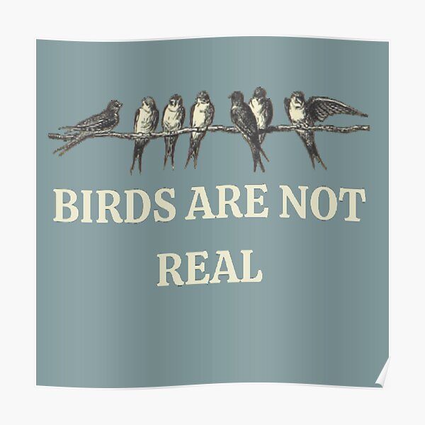 " Birds are not real funny meme" Poster for Sale by Simi2020 | Redbubble