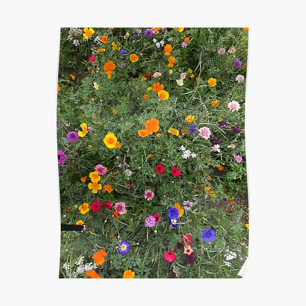 "Bee food " Poster for Sale by Kidzx6 | Redbubble