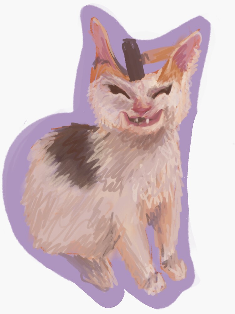 "bonk cat banana cat cat no banana funny cat meme silly dumb cute ...