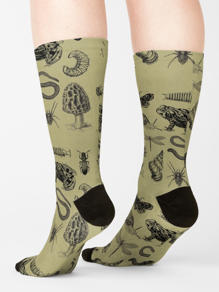 "Vintage Biology Nature Lover Collection: Frog, Mushroom, Snail, Moth ...