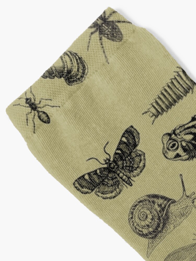 "Vintage Biology Nature Lover Collection: Frog, Mushroom, Snail, Moth ...