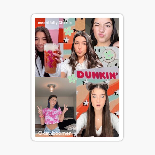 "Charlie collage aesthetic tic tok collage " Sticker for Sale by ...