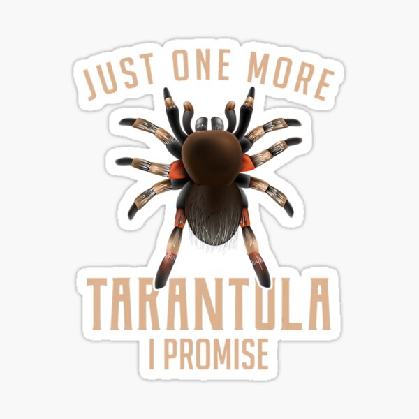 "Redknee Tarantula LegHuggerSpider Pet Arachnid" Sticker by JoannyCrist ...