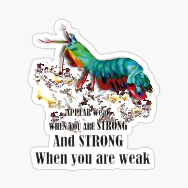 "Mantis Shrimp" Sticker for Sale by RenigArt | Redbubble