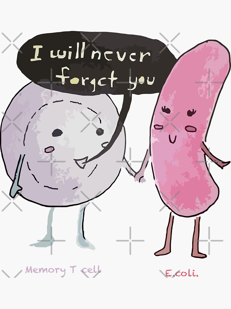 "WBCs will never forget E coli" Sticker by labstud | Redbubble