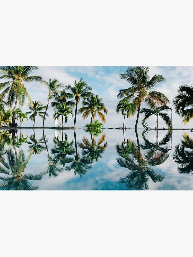 "really cool palm trees" Poster for Sale by Lidydesigns | Redbubble