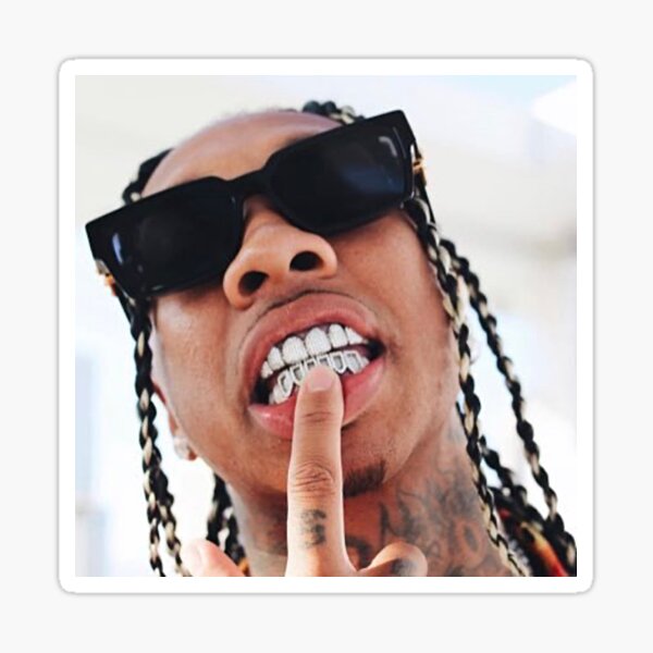 "Tyga" Sticker for Sale by Jaqiana | Redbubble