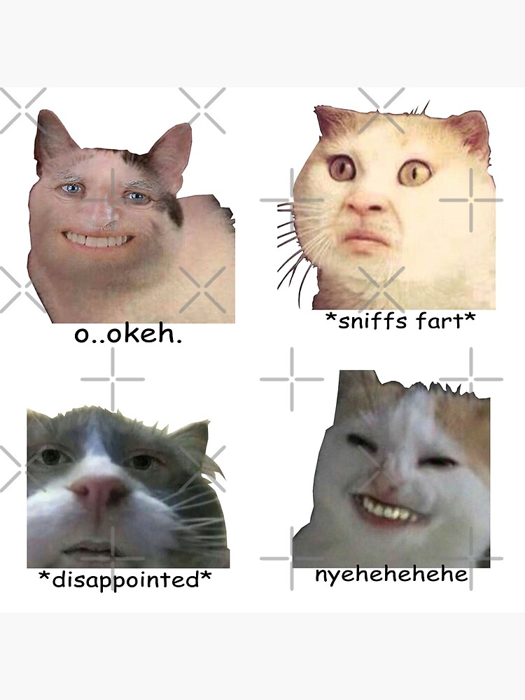 "Cats W/ Faces Meme PNG Starter Pack" Art Print for Sale by ASOE ...