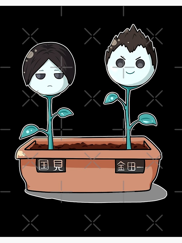 Lámina fotográfica «Haikyuu Aoba Jousai Plants Kunimi Kindaichi Classic ...