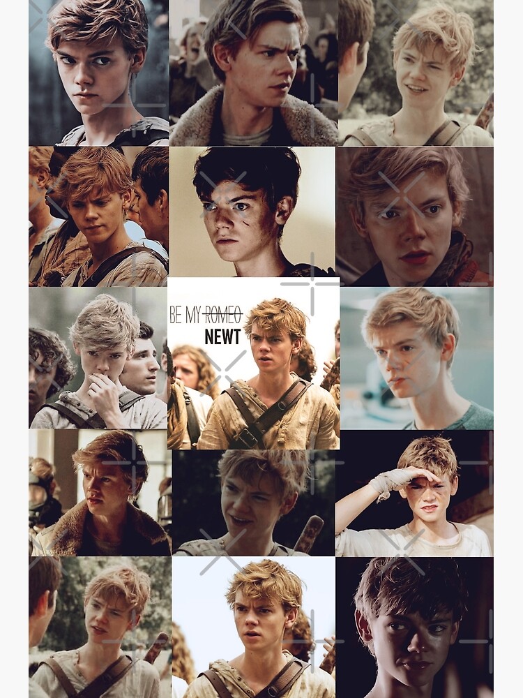 "Newt" Poster for Sale by Ghuncha101 | Redbubble