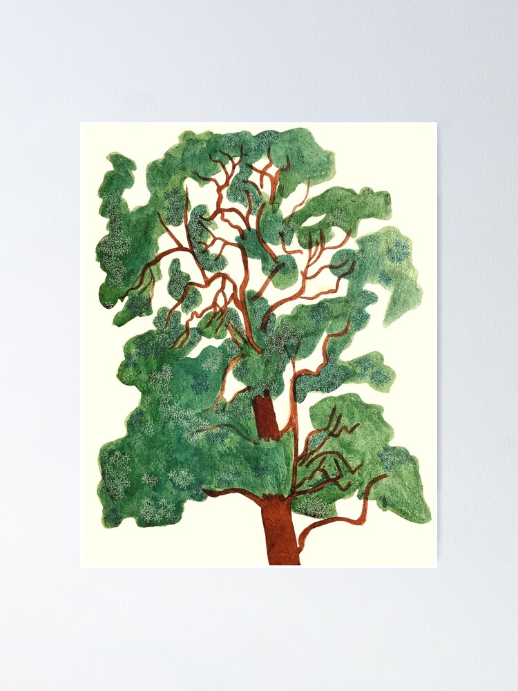 "Chhatim tree" Poster for Sale by abantika | Redbubble