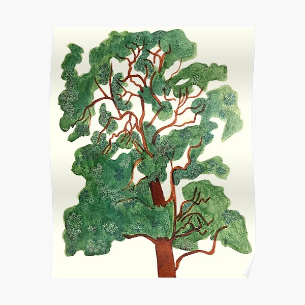 "Chhatim tree" Poster for Sale by abantika | Redbubble
