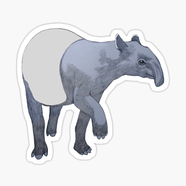 "Cute Malayan Tapir" Sticker for Sale by rannfineart | Redbubble