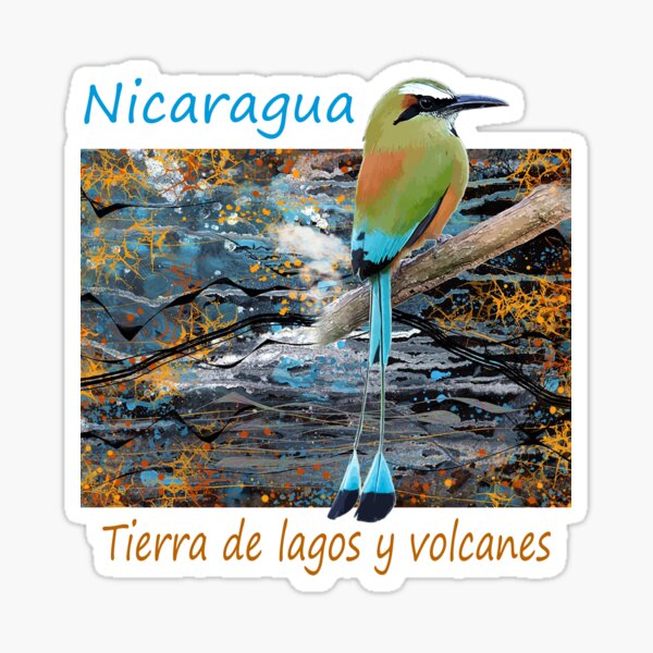 "National bird Guardabarranco" Sticker for Sale by Elnica | Redbubble