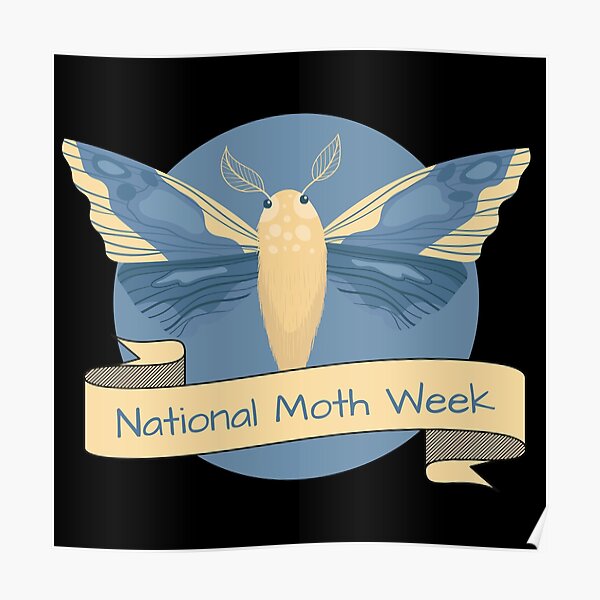 "National Moth Week Butterfly Lepidoptera" Poster for Sale by ...