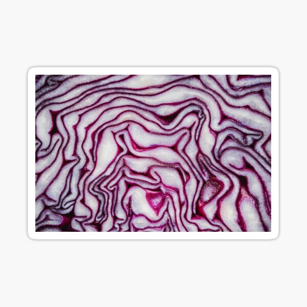 "Red Cabbage Texture " Sticker for Sale by fahadabu | Redbubble