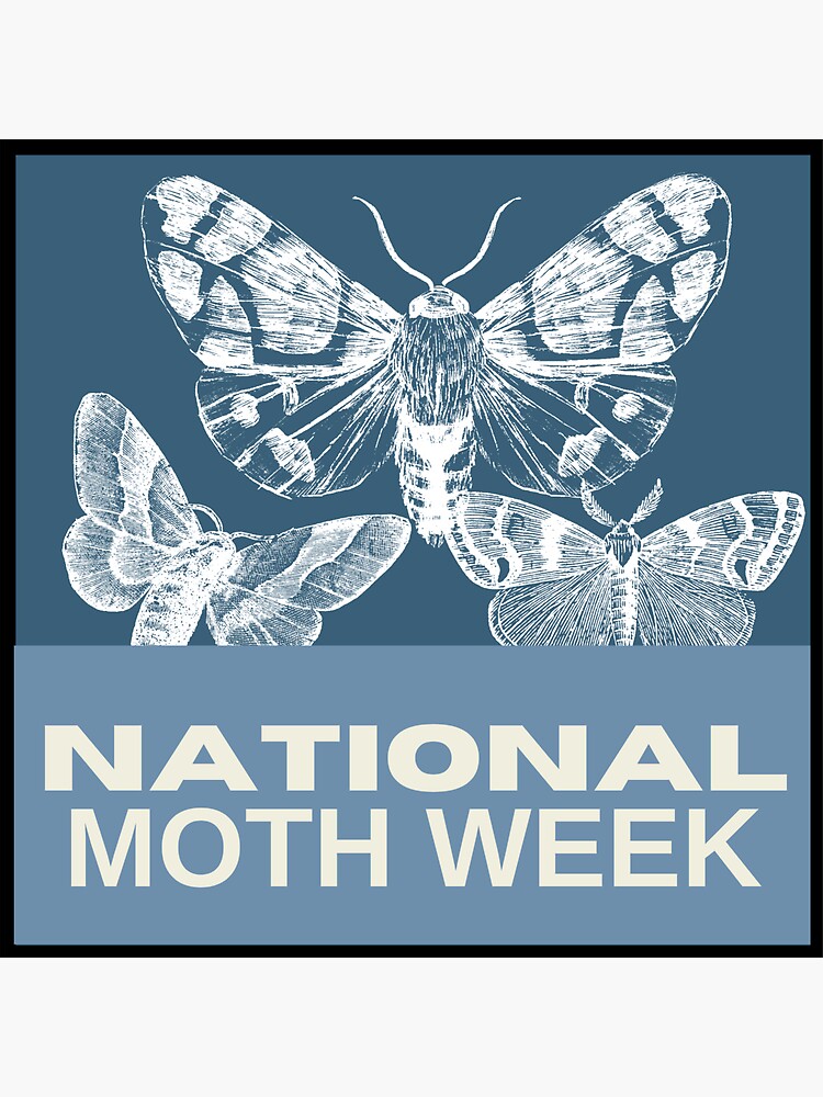 "National Moth Week Butterfly Lepidoptera" Sticker for Sale by ...