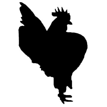 "Serama Chicken Malaysian Table Top black" Sticker for Sale by ...