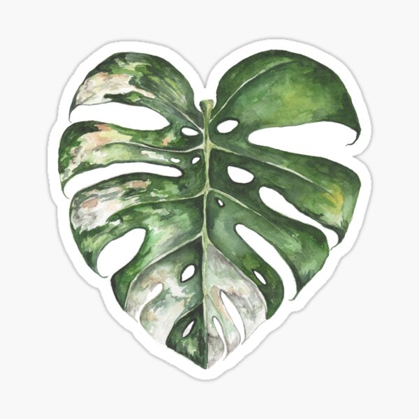 "Variegated Monstera " Sticker for Sale by Brittanyfowler | Redbubble