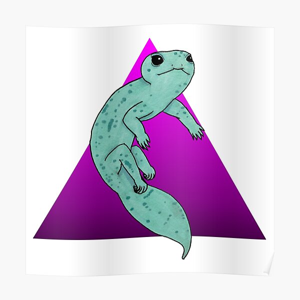 "Phantom Gecko Triangle" Poster by Crystaliii | Redbubble