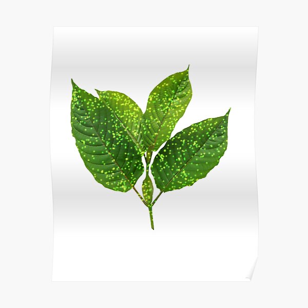 "Glitter Kratom" Poster by MichellesMedArt | Redbubble