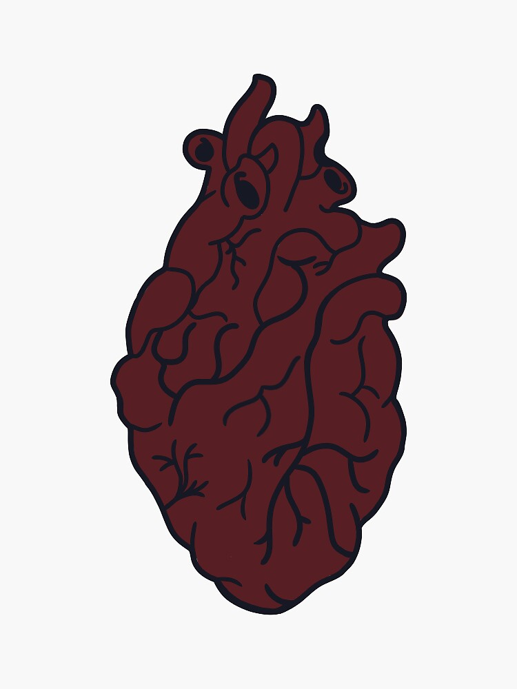 "Burgundy/Navy HOSA anatomical heart" Sticker for Sale by bre-spires ...