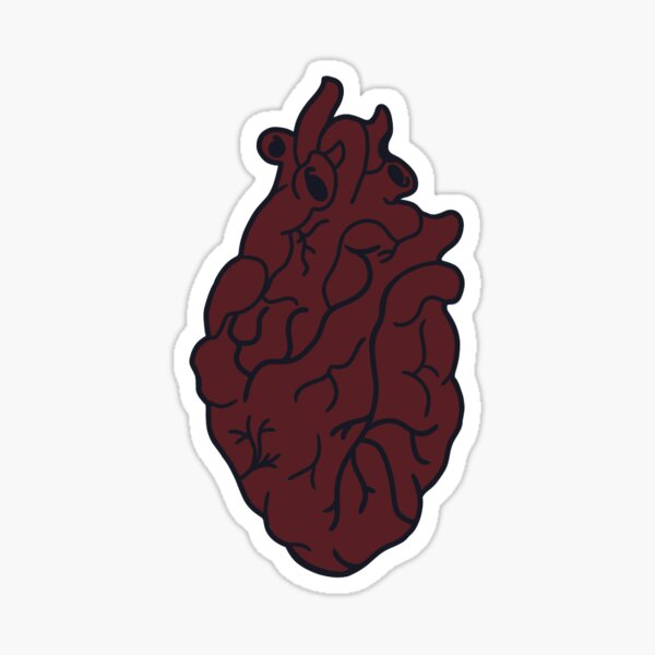 "Burgundy/Navy HOSA anatomical heart" Sticker for Sale by bre-spires ...