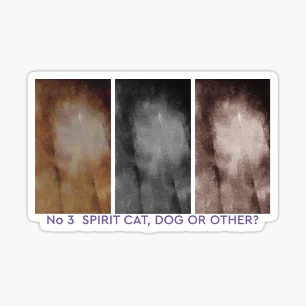 "No. 3 Spirit - Ghost Cat, Dog or Other. Authentic Paranormal Printed ...