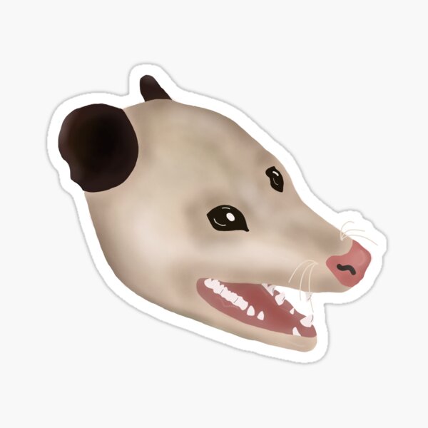 "Opossum Screaming " Sticker for Sale by StrawbrrrySushi | Redbubble
