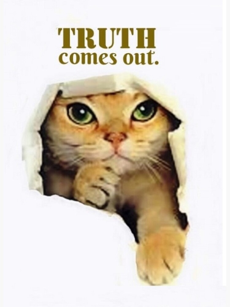 "Truth comes out " Poster by TinacityArt | Redbubble