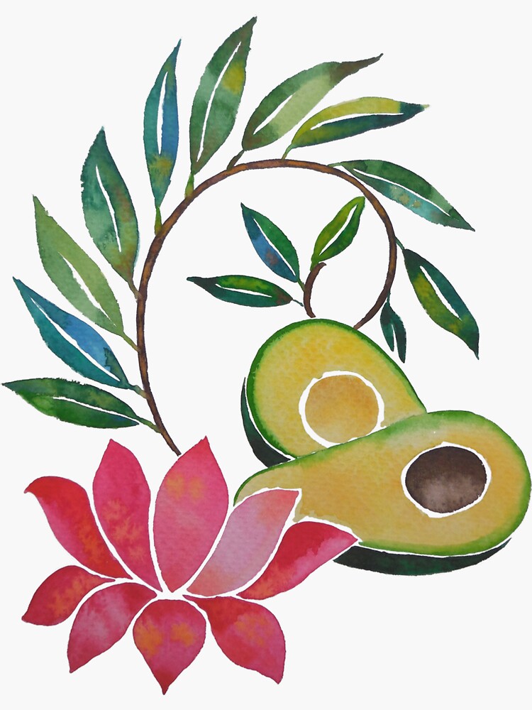 "Avocado and Lotus - Modern watercolor painting" Sticker for Sale by M ...