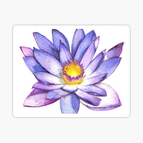"Water Lily" Sticker for Sale by MoriahA | Redbubble