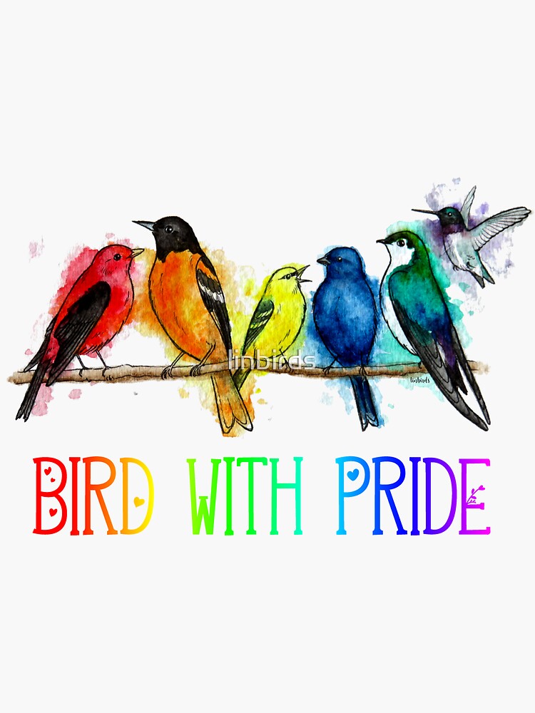 "Bird with Pride; Rainbow Birds II - Ink and Watercolor Wildlife ...