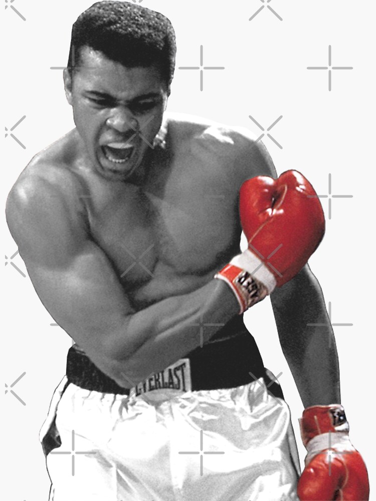 "Ali Gray Art" Sticker for Sale by Monkey82 | Redbubble