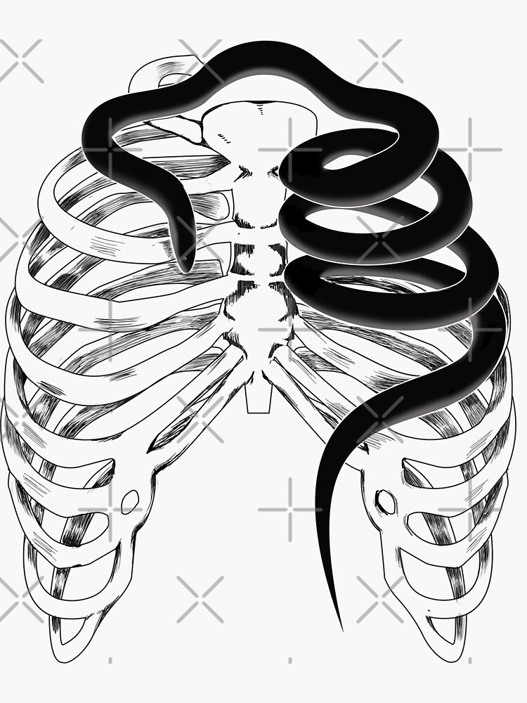 "Cool Gothic Skeleton Rib Cage Intertwined With Black Snake" Sticker ...