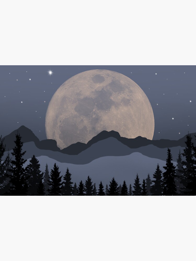 "Forest Moon" Sticker by LightedLens | Redbubble