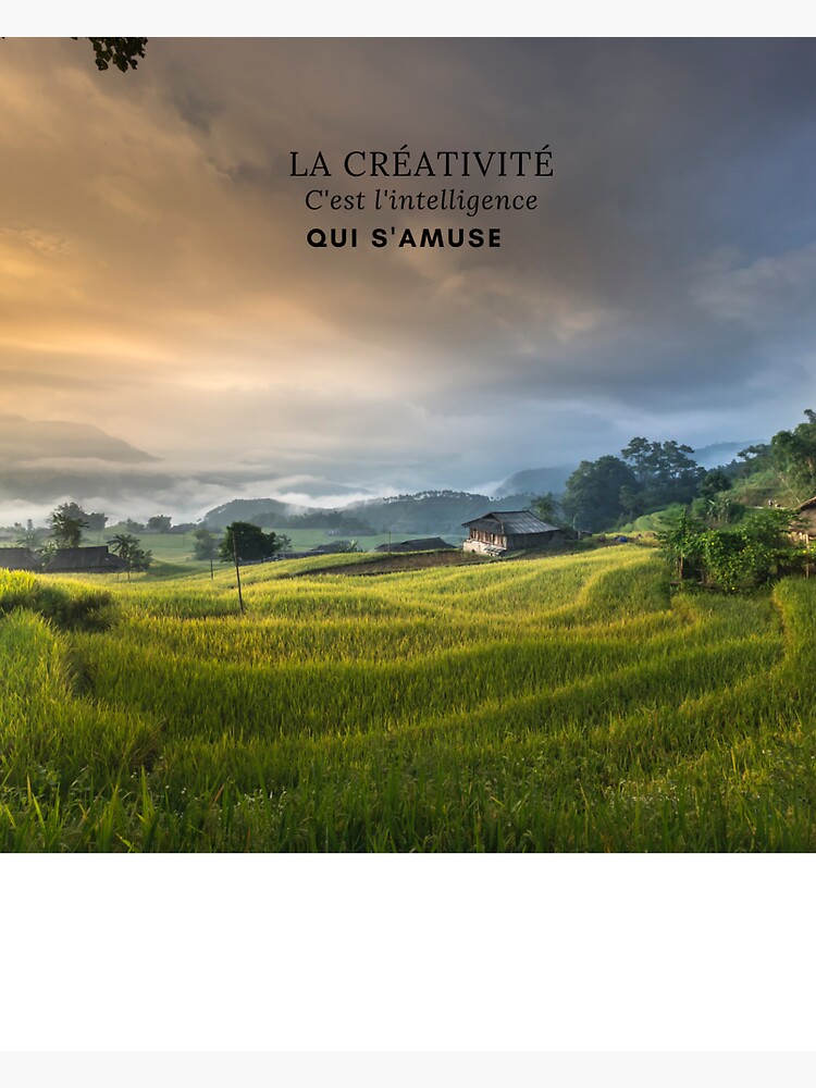 "holy environment" Sticker for Sale by Dramia59 | Redbubble