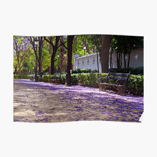 "Magic Carpet" Poster by ErianAndre | Redbubble