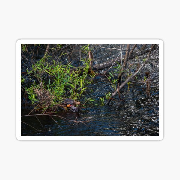 "Bright Contrast" Sticker for Sale by InhumanImaging | Redbubble