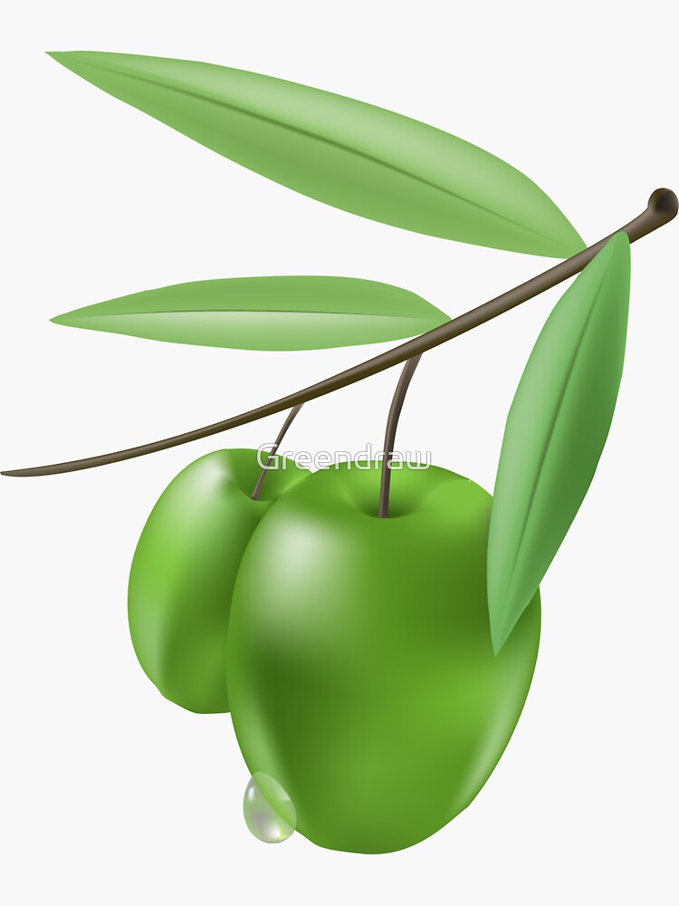 "Olive" Sticker for Sale by Greendraw | Redbubble